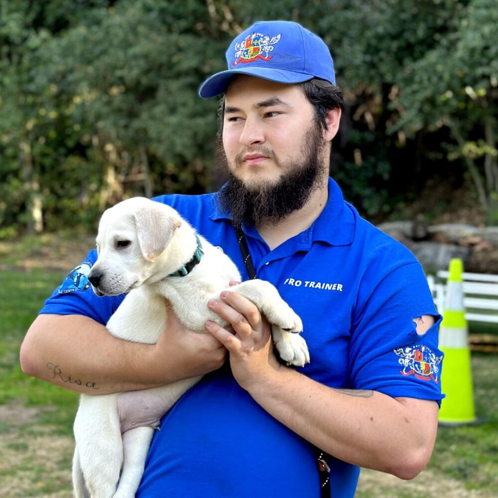 Topanga Pet Resort: Dog Boarding & Training Near You
